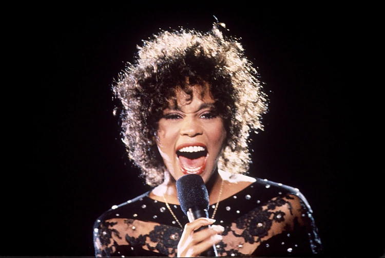 Whitney-Houston.png