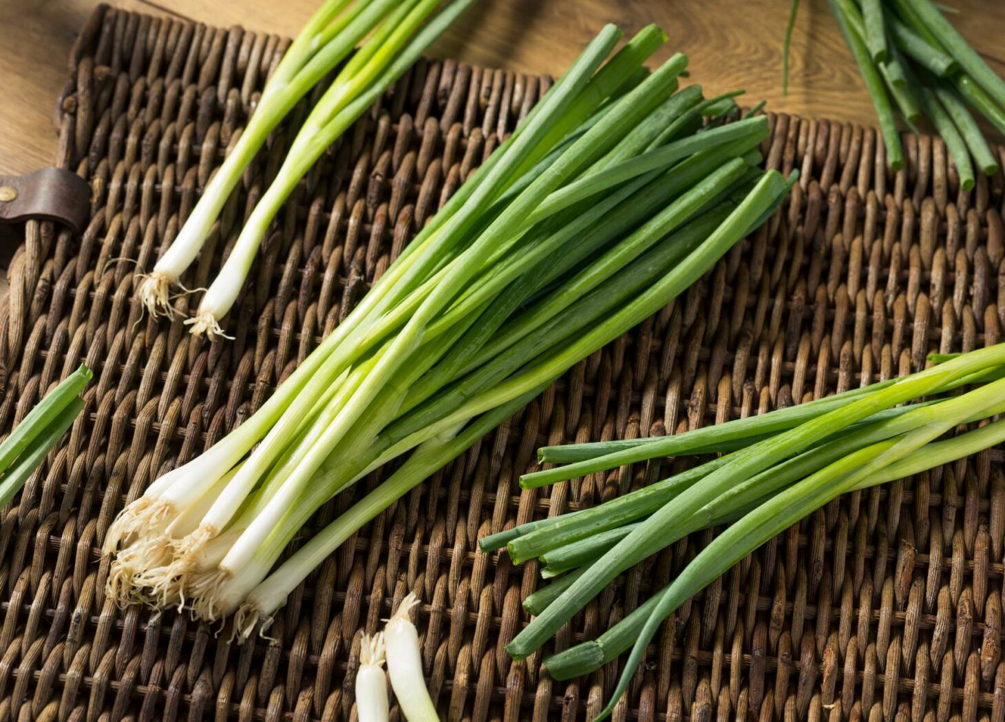 Cortesía | El cebollín ayuda a fortalecer la memoria