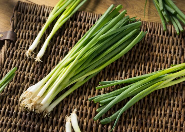 Cortesía | El cebollín ayuda a fortalecer la memoria