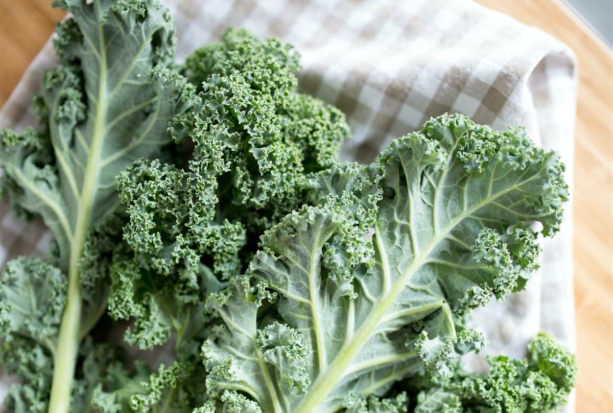 kale-e1712674357705.jpeg