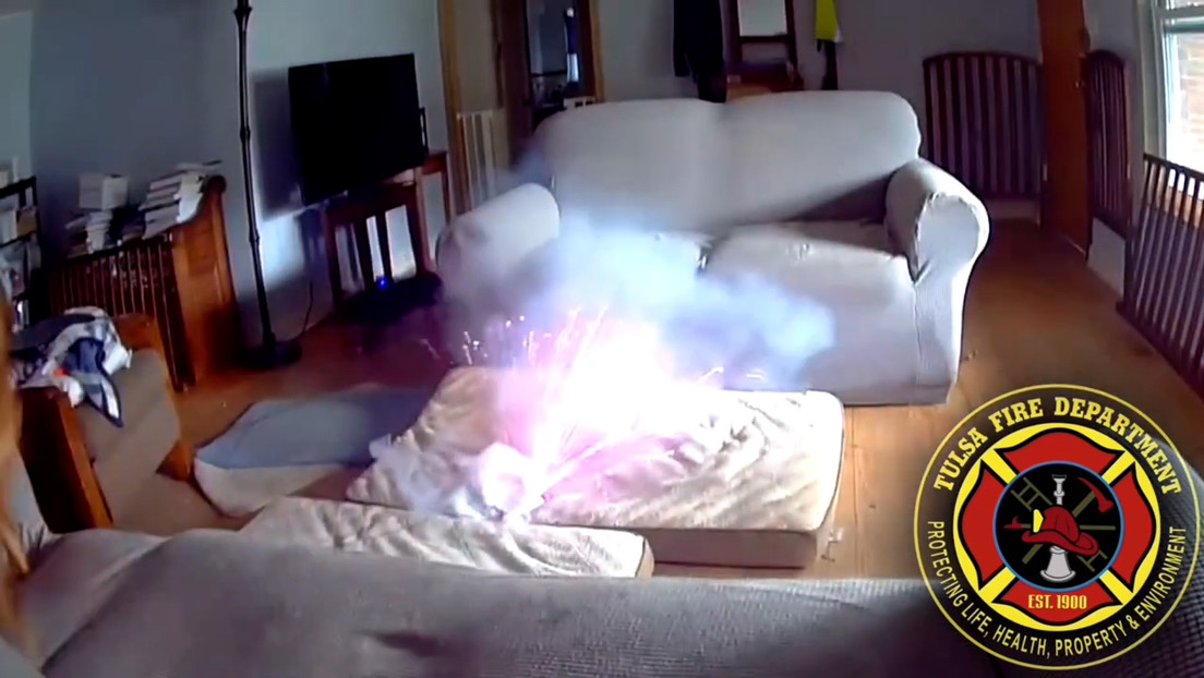 PERRO-EXPLOSION-CELULAR.jpeg